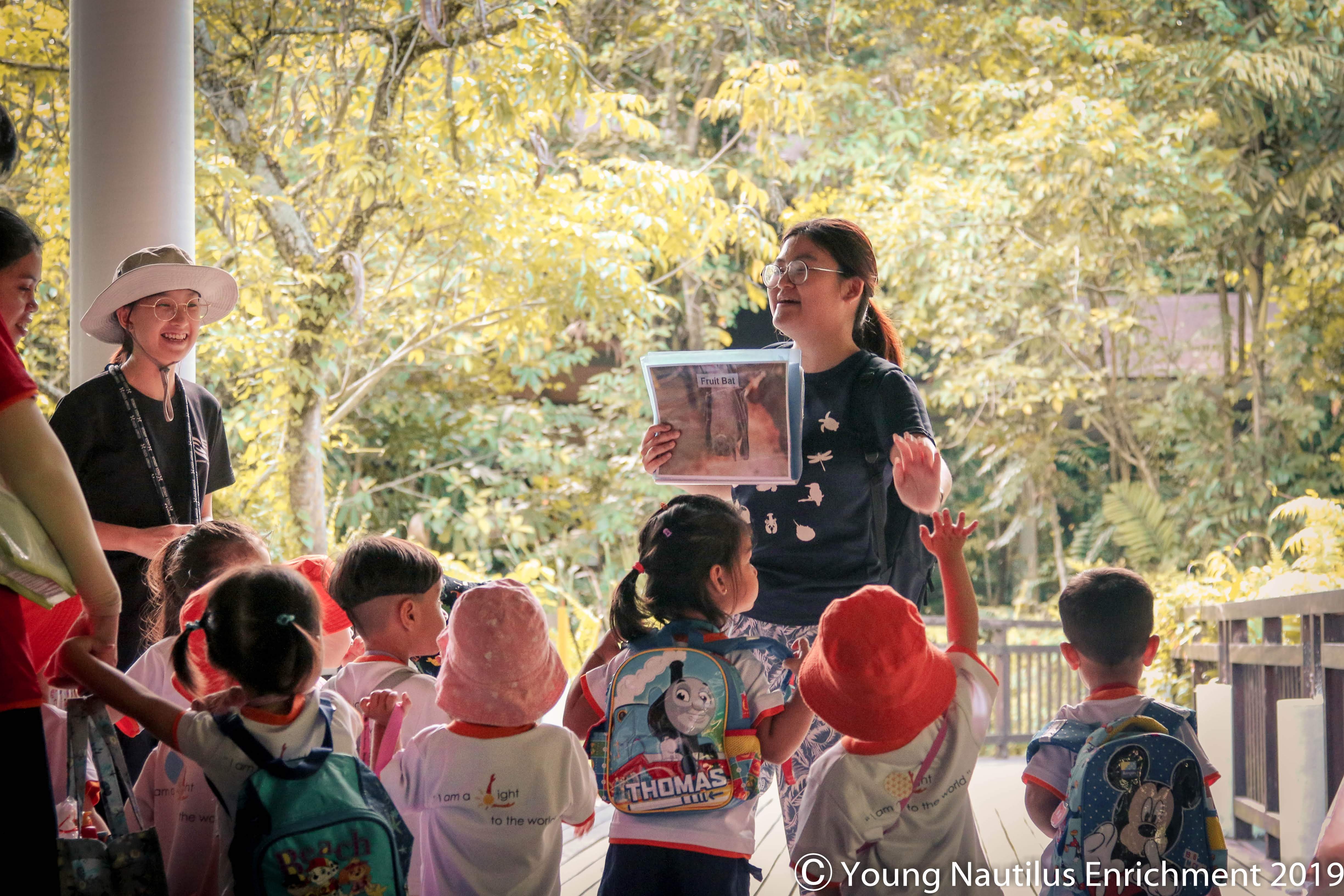 Young Nautilus Nature Walks: Unravelling Wildlife Mysteries - GoSingapore